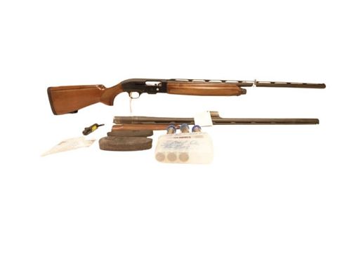 Beretta AL390 Sport Trap Super For Sale - Price and Used Value - Blue ...