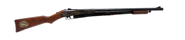 DAISY MODEL 25 - 100TH ANNIVERSARY For Sale - Price and Used Value ...