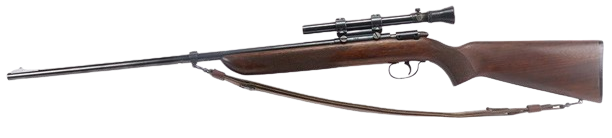 REMINGTON MODEL 510 P For Sale - Price and Used Value - Blue Book of ...