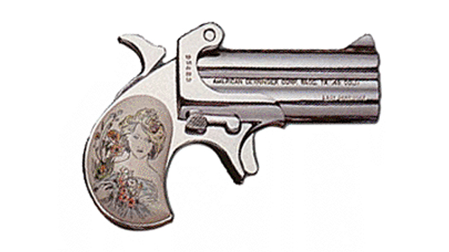 Lady Derringer Deluxe Engraved For Sale - Price and Used Value - Blue ...