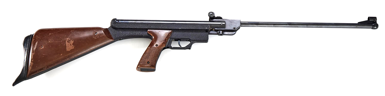 Small child needs pellet gun for rabbits. Looking for reccomendations ...