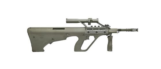 STG-556 Gebirgsjager Limited Edition For Sale - Price and Used Value ...