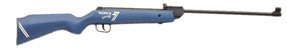 NORICA YOUNG For Sale - Price and Used Value - Blue Book of Gun Values