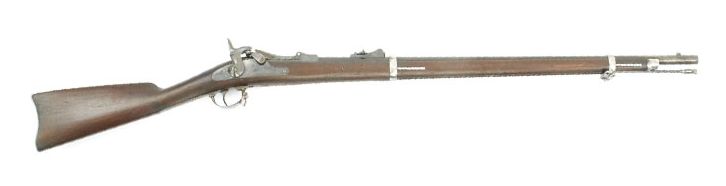 SPRINGFIELD MODEL 1873 CADET RIFLE For Sale - Blue Book of Gun Values