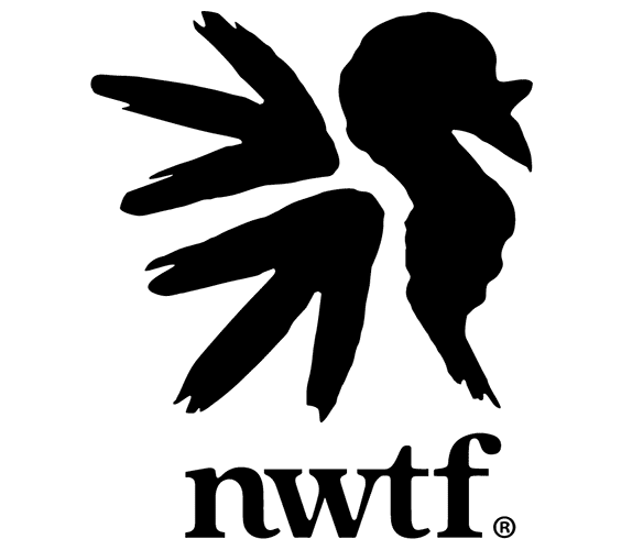 NWTF Gun Values - Blue Book of Gun Values