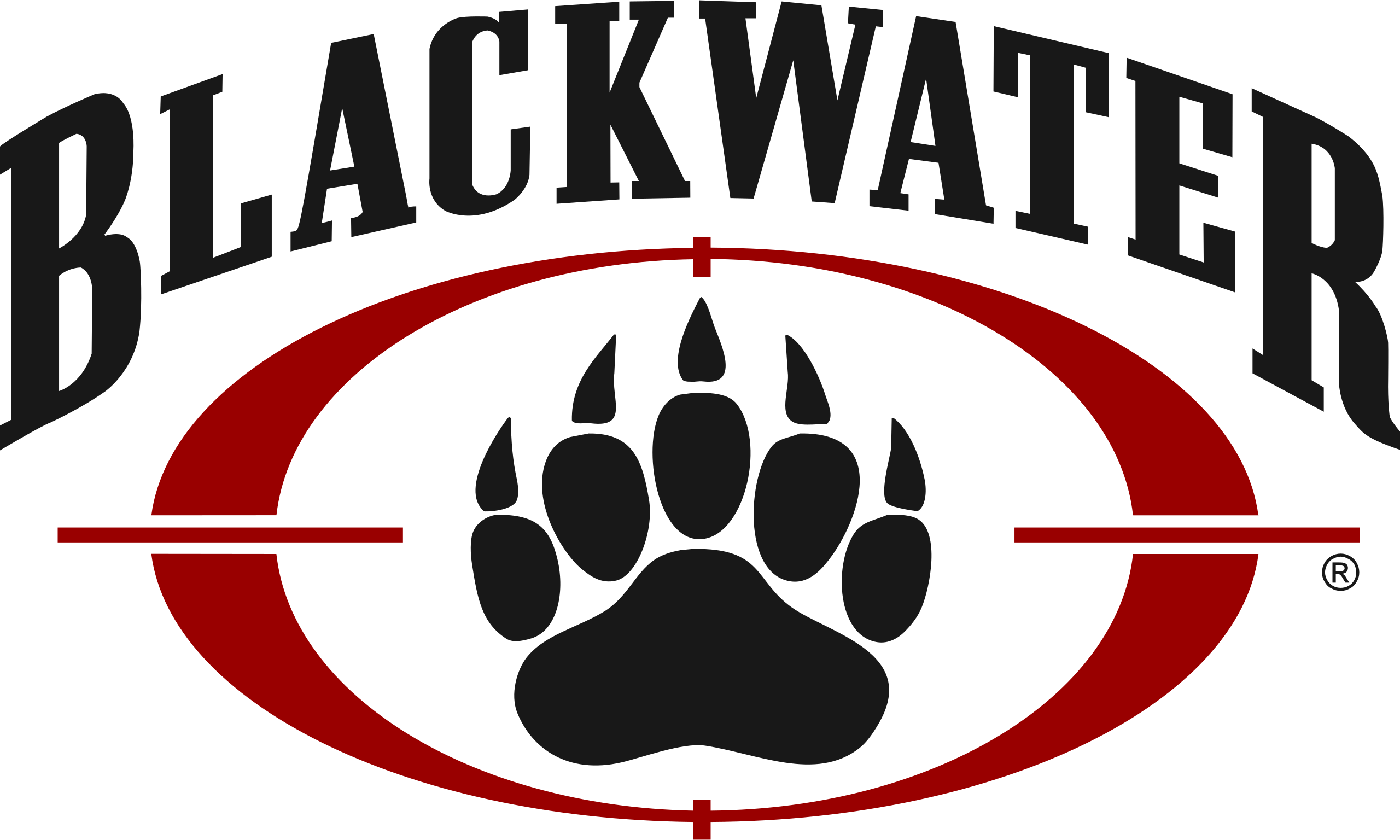 BLACKWATER WORLDWIDE Gun Values - Blue Book of Gun Values