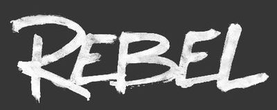 REBEL ARMS CORP. Gun Values - Blue Book of Gun Values