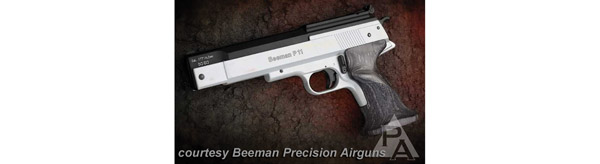 P11 For Sale - Price and Used Value - Blue Book of Gun Values