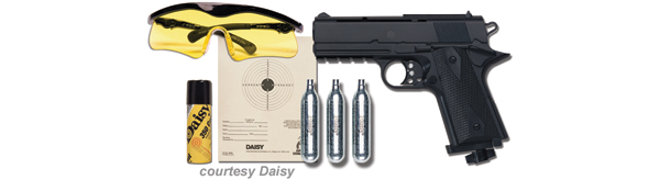 DAISY Gun Values