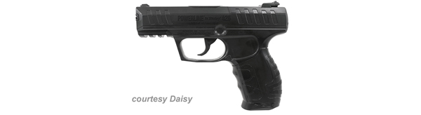 DAISY OUTDOOR PRODUCTS Models, Model Prices and Historic Values.