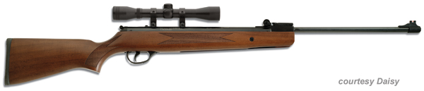 DAISY MODEL 1000 POWERLINE For Sale - Price and Used Value - Blue Book ...