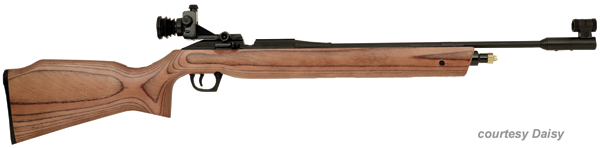 DAISY MATCH GRADE MODEL 887 (AVANTI MODEL 887 GOLD MEDALIST) For Sale ...