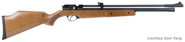 SENECA DRAGONFLY MULTI-PUMP AIR RIFLE For Sale - Price and Used Value ...