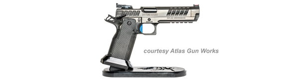 NEMESIS For Sale - Price and Used Value - Blue Book of Gun Values