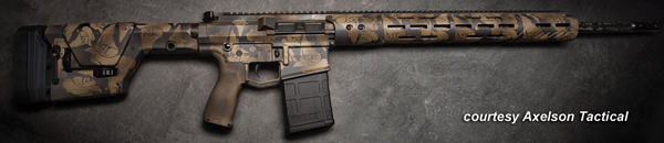 CHARLIE MIKE PRECISION SIGNATURE AR-10 For Sale - Price and Used Value ...