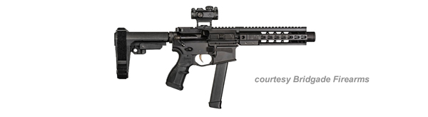 FOSTECH ECHO EDITION Price and Used Value, FOSTECH ECHO EDITION for sale