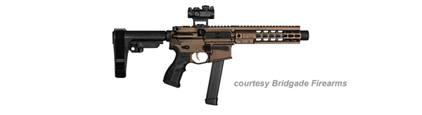 FOSTECH ECHO EDITION Price and Used Value, FOSTECH ECHO EDITION for sale