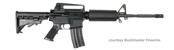BUSHMASTER FIREARMS M4 PATROLMAN'S CARBINE price and historical value