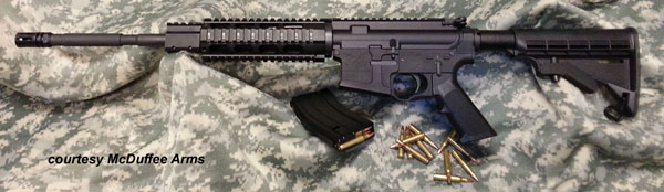 BANSHEE AR-15 CARBINE Price and Used Value, BANSHEE AR-15 CARBINE for sale