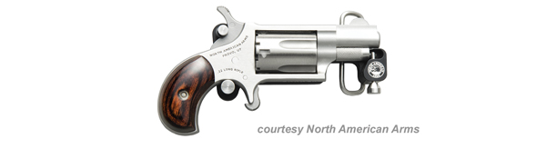 NAA .22 CUSTOM CARRY COMBO For Sale - Price and Used Value - Blue Book ...