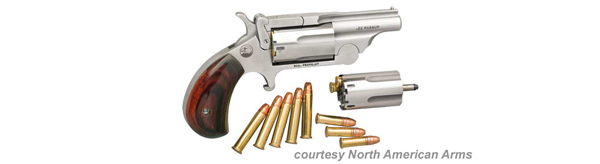 NORTH AMERICAN ARMS, INC. NAA RANGER II - New and Used Gun Values