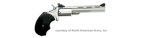 NAA MINI-MASTER TARGET REVOLVER For Sale - Price and Used Value - Blue ...