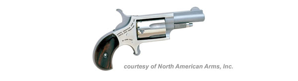 NAA .22 S/LR Price and Used Value, NAA .22 S/LR for sale