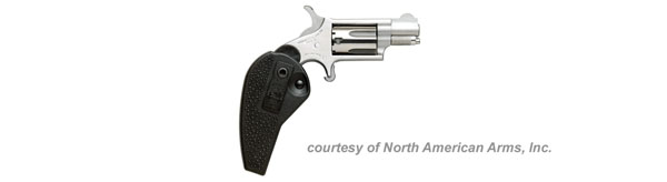 NAA .22 S/LR Price and Used Value, NAA .22 S/LR for sale