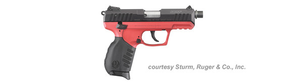 RUGER BANGERS SR22 (MODEL 3622) For Sale - Price and Used Value - Blue ...