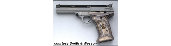 SMITH & WESSON MODEL 22S SPORT SERIES for sale - Price and Used Value