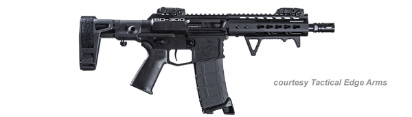 RD-556/RD-300 PISTOL Price and Used Value, RD-556/RD-300 PISTOL for sale