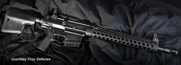 .308 RIFLE For Sale - Price and Used Value - Blue Book of Gun Values