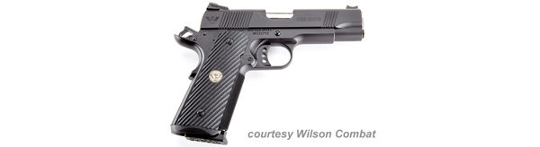 Wilson Combat CQB Elite Commander/Professional For Sale - Price and ...