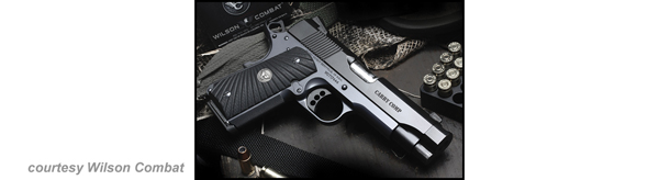 WILSON COMBAT CARRY COMP For Sale - Price and Used Value - Blue Book of ...