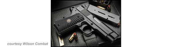 Wilson Combat Ultralight Carry Compact For Sale - Price and Used Value ...