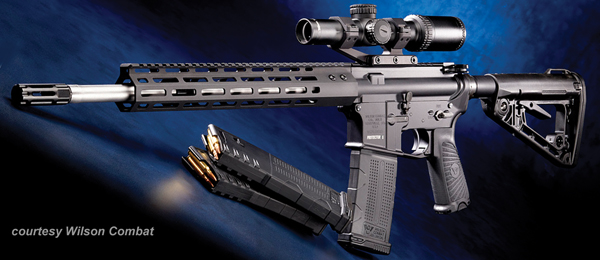 Wilson Combat Protector S Carbine For Sale - Price and Used Value ...