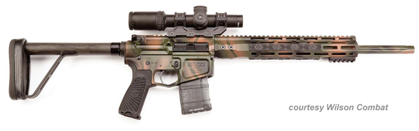 WILSON COMBAT HUNTER For Sale - Price and Used Value - Blue Book of Gun ...