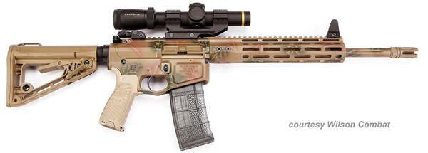 WILSON COMBAT PAUL HOWE TACTICAL CARBINE For Sale - Price and Used ...