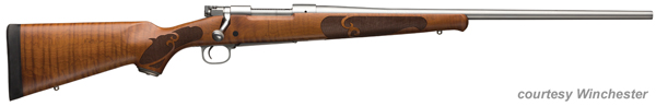 WINCHESTER MODEL 70 FEATHERWEIGHT DARK MAPLE STAINLESS for sale - Price ...